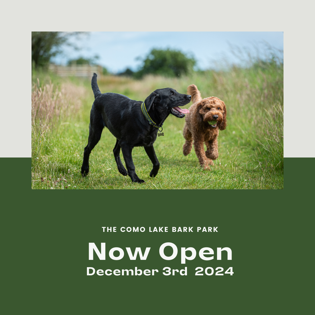 Dog Park Lancaster, NY Como Lake Bark Park – Woof woof